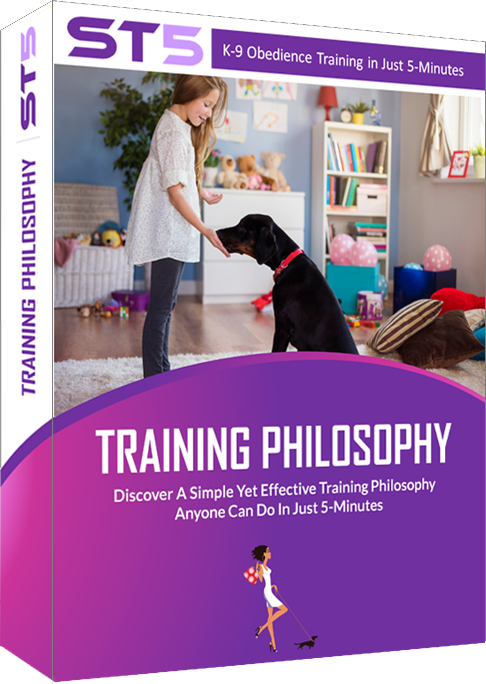 Online Training – The Sassy Trainer (Veteran Owned)